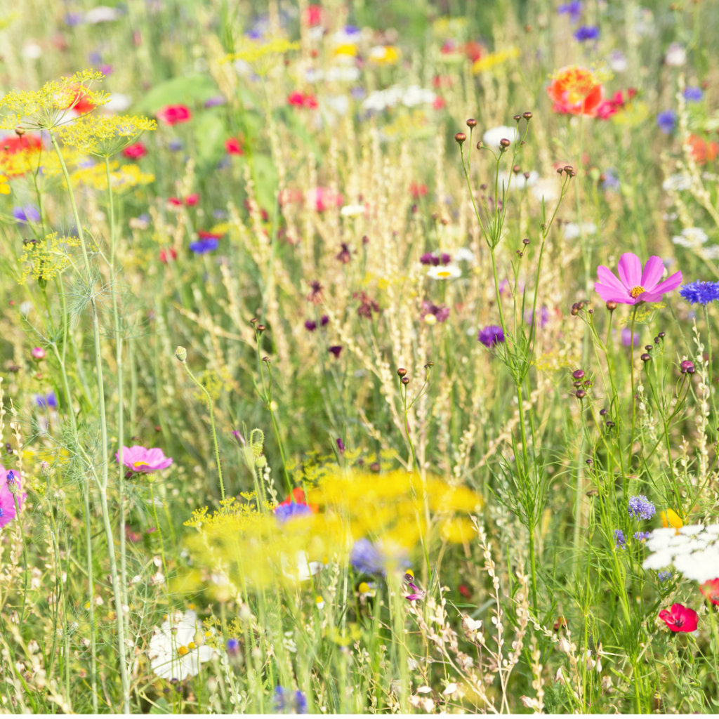 Advocacy - Indiana Association of Soil and Water Conservation Districts